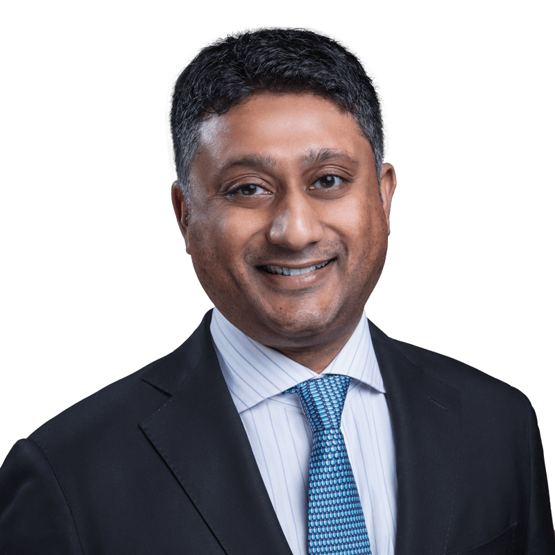 Vivek Mani | Cornerstone Research