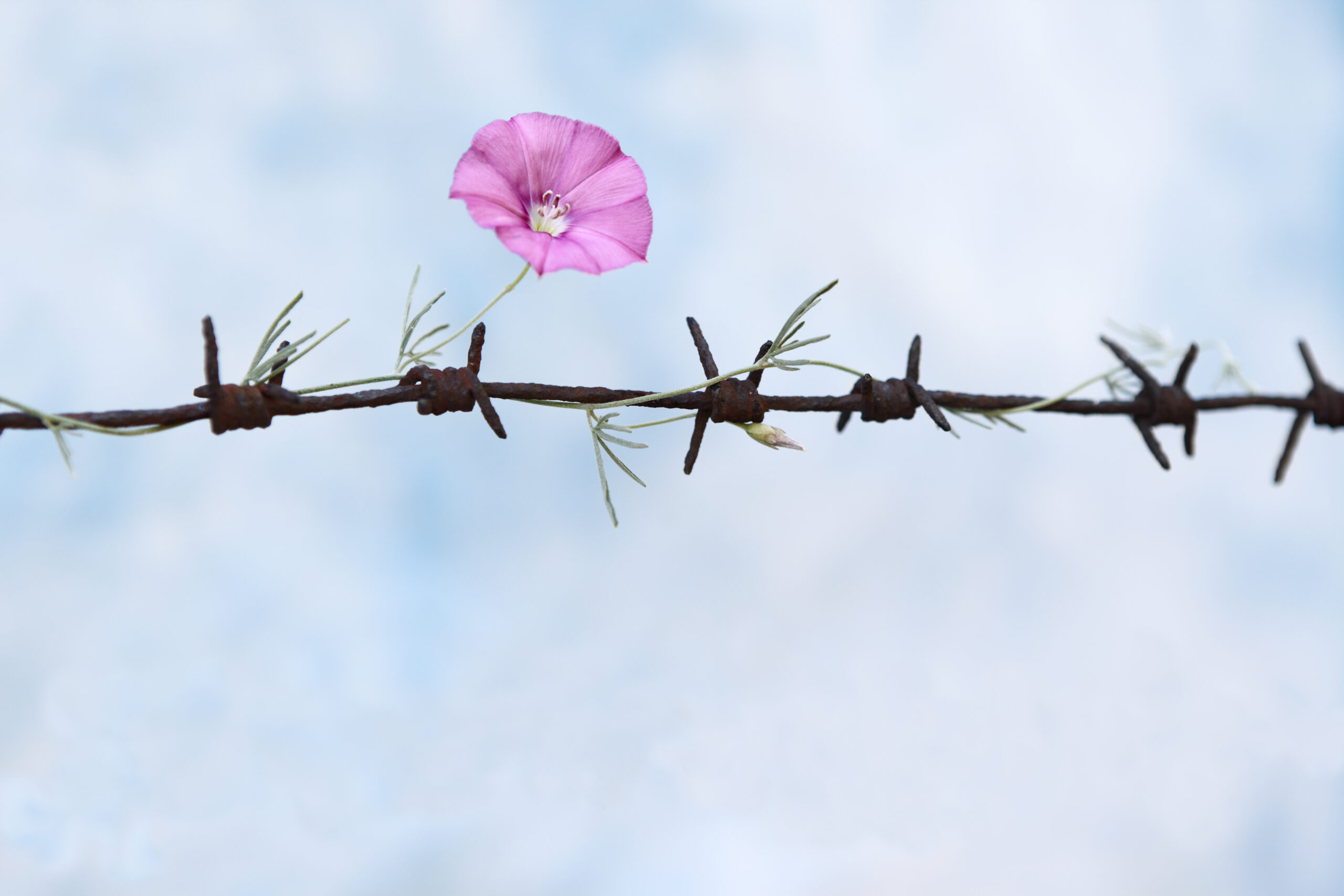 Pro Bono: State of Georgia v. Dennis Arnold Perry | Cornerstone Research